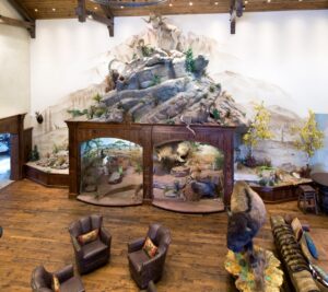 Custom Trophy Rooms | Trophy Room Design Service | Julian & Sons